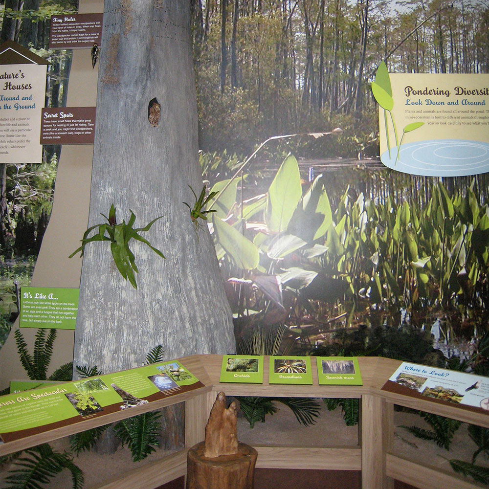 The Interpretive Center at the Six Mile Cypress Slough Preserve - ADM2 ...