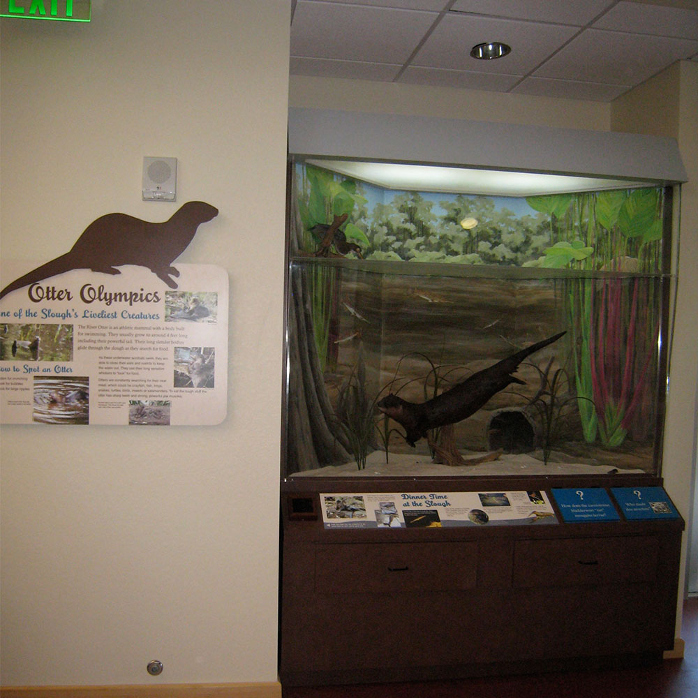 The Interpretive Center at the Six Mile Cypress Slough Preserve - ADM2 ...