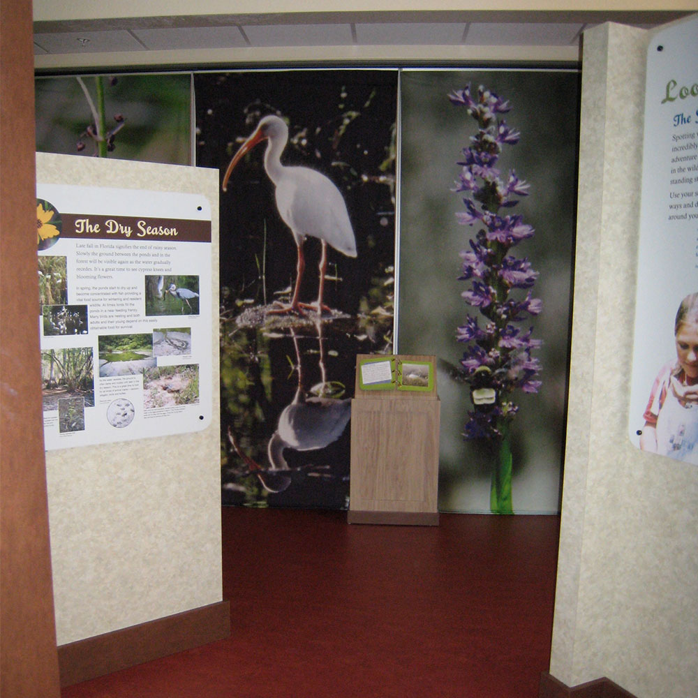 The Interpretive Center at the Six Mile Cypress Slough Preserve - ADM2 ...