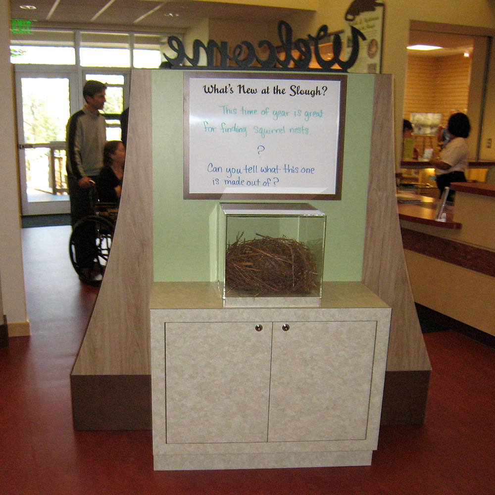The Interpretive Center at the Six Mile Cypress Slough Preserve - ADM2 ...