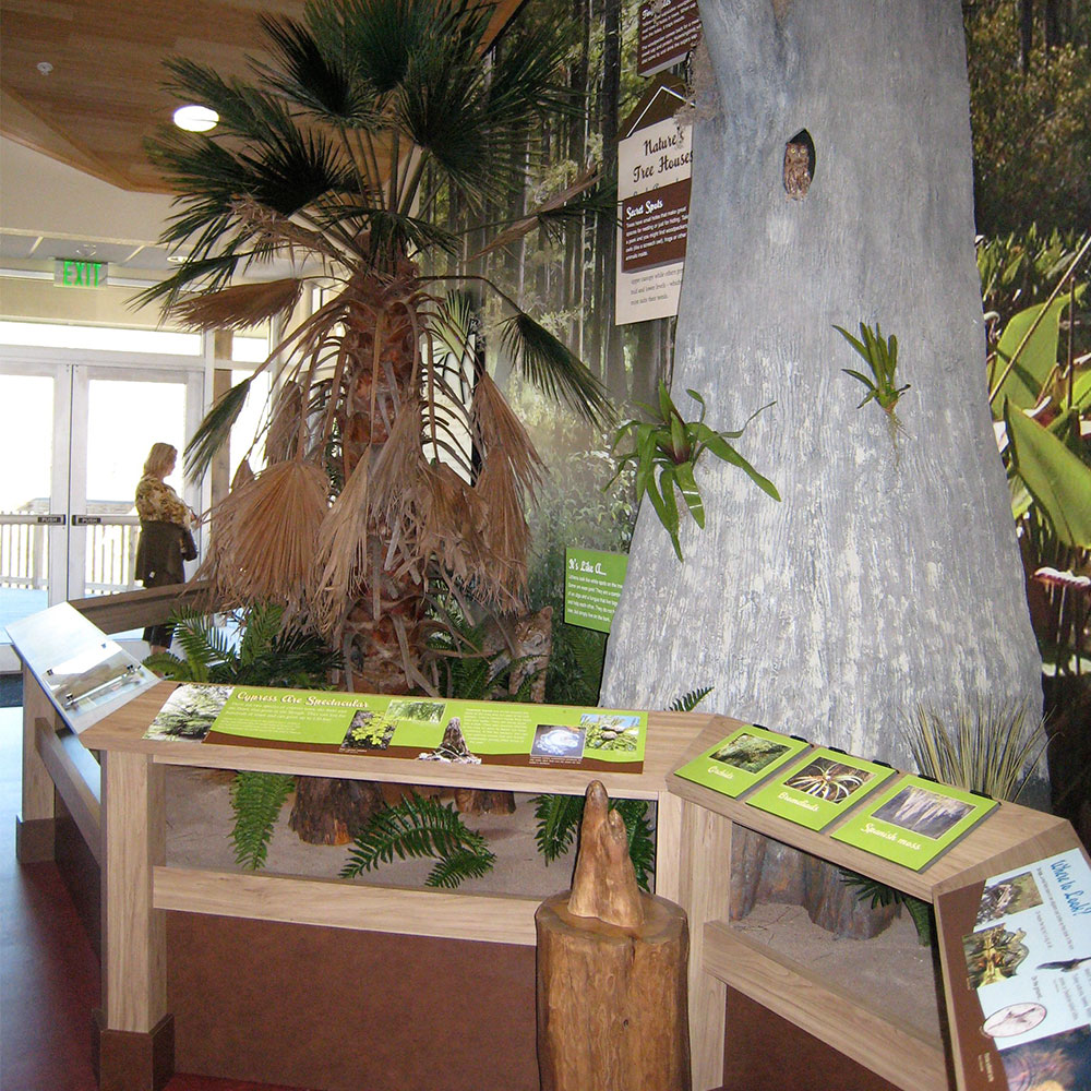 The Interpretive Center at the Six Mile Cypress Slough Preserve - ADM2 ...